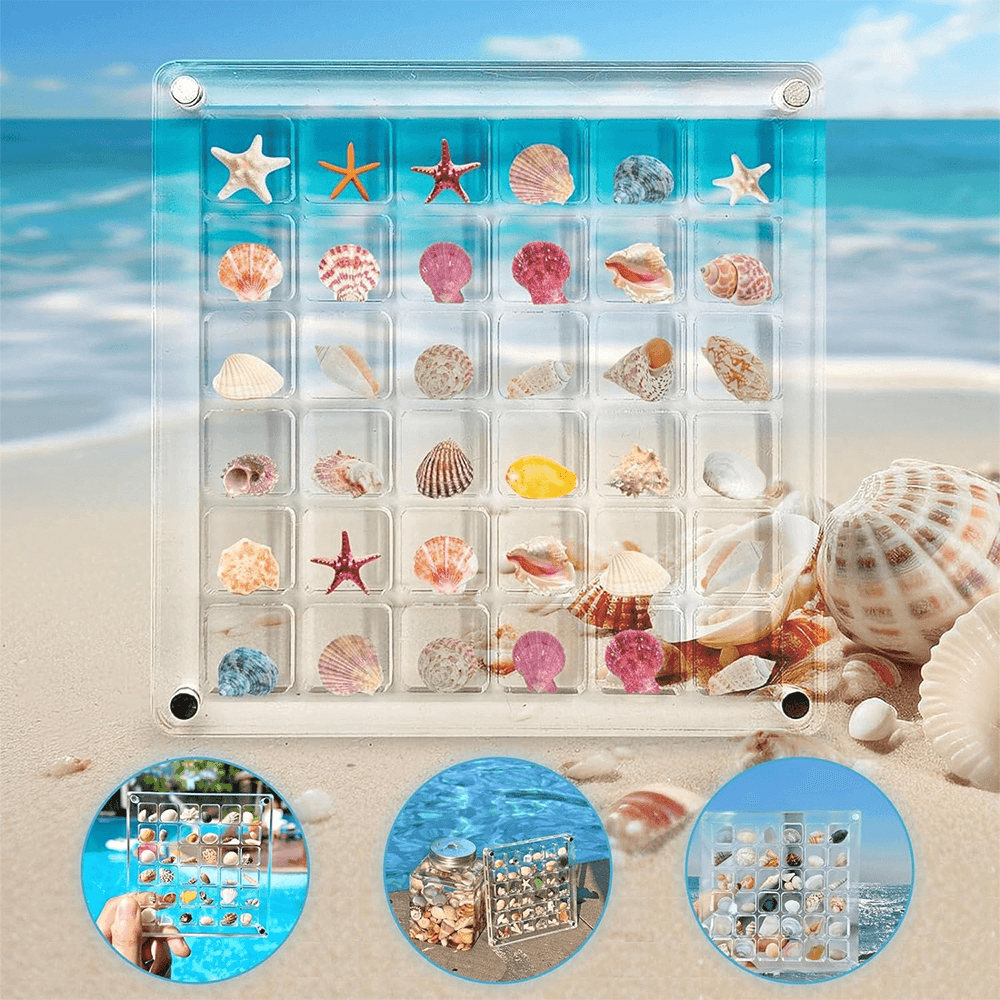 Seashell Container™ – Faisly